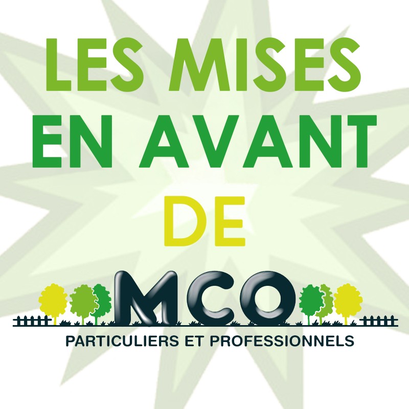 Mise en avant des services chez MCO Orvault & La Baule ! – MCO